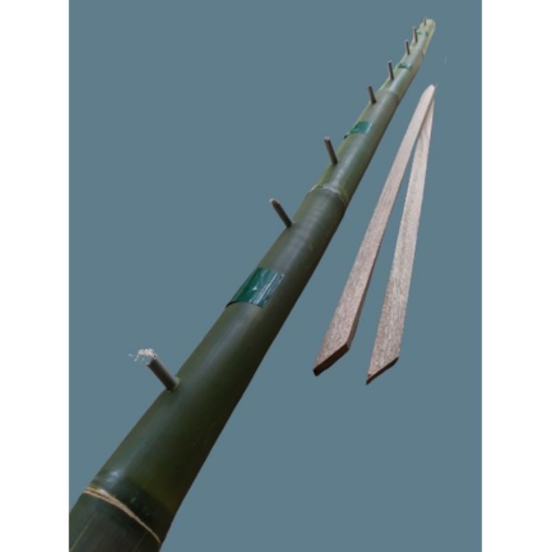 PELITA BULUH, PELITA RAYA, PELITA BULUH PANJUT, PELITA KLASIK, PELITA ...