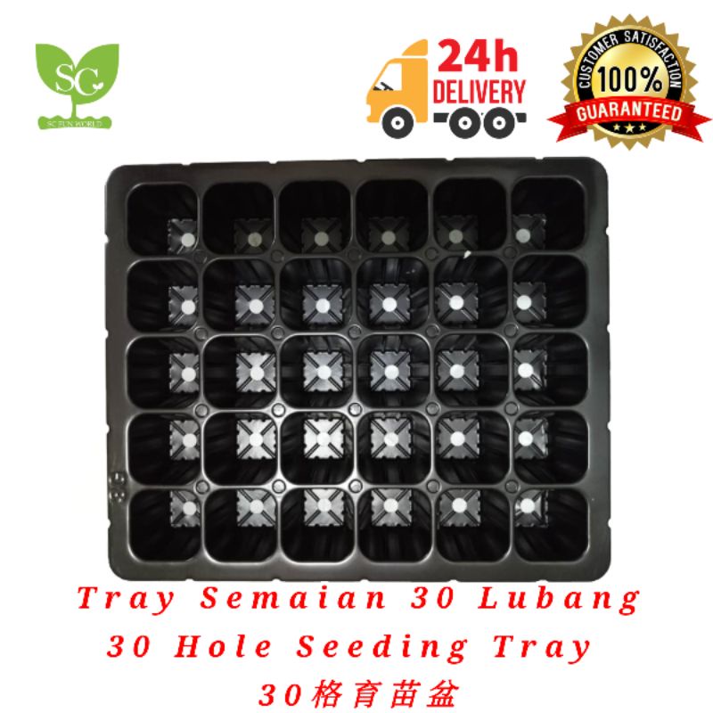 ⭐30 Lubang Tray Semaian/Seeding Tray 30 Holes/30格育苗盆/Seeding Pot 30 ...