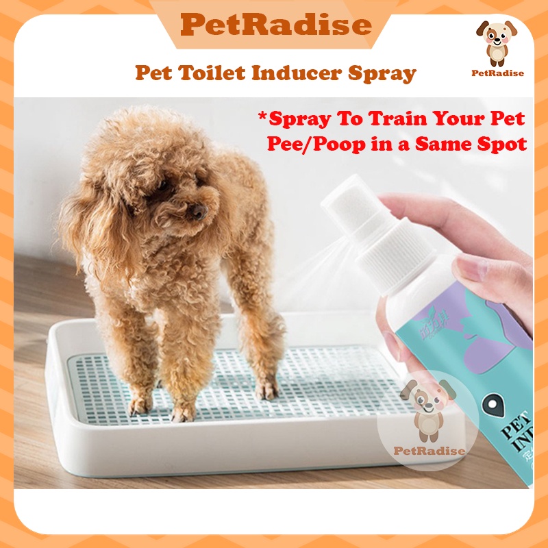 DORRIKEY Pet Toilet Inducer Spray 120ml Dog Toilet Cat Toilet Training ...