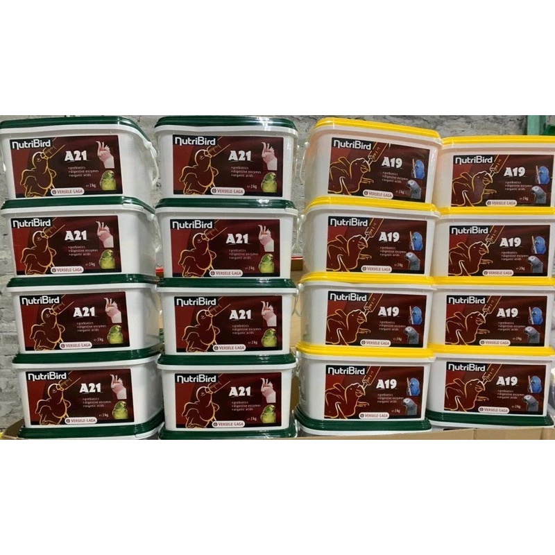 Nutri powder A19/A21 for young parrots. | Shopee Malaysia