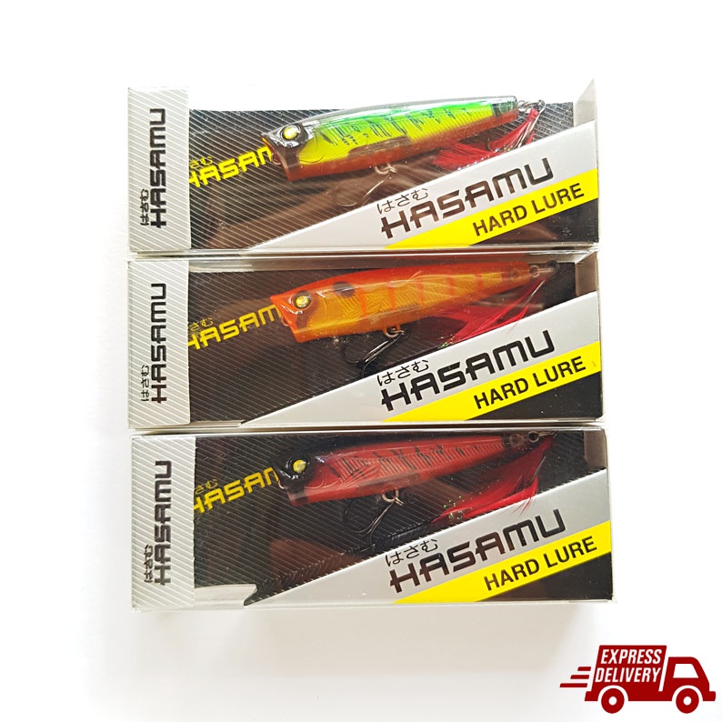 Hasamu 3DS Popper Floating Fishing Lure | Shopee Malaysia