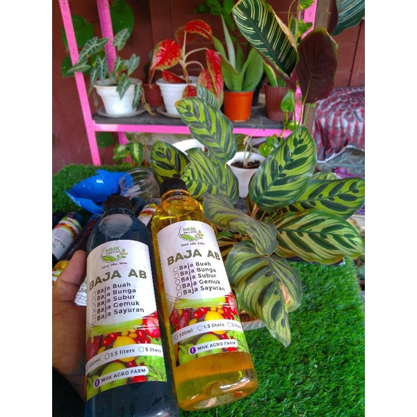baja AB SUPER POWER | 500ML | SET A&B | pelbagai jenis pokok sayuran ...