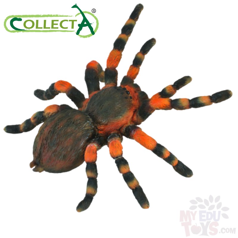 Mexican Redknee Tarantula - Collecta 88338 Insects Spider Action ...