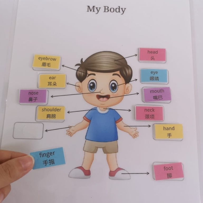 Montessori Interactive Busy Book for Kids | My body Book 我的身体安静书 ...