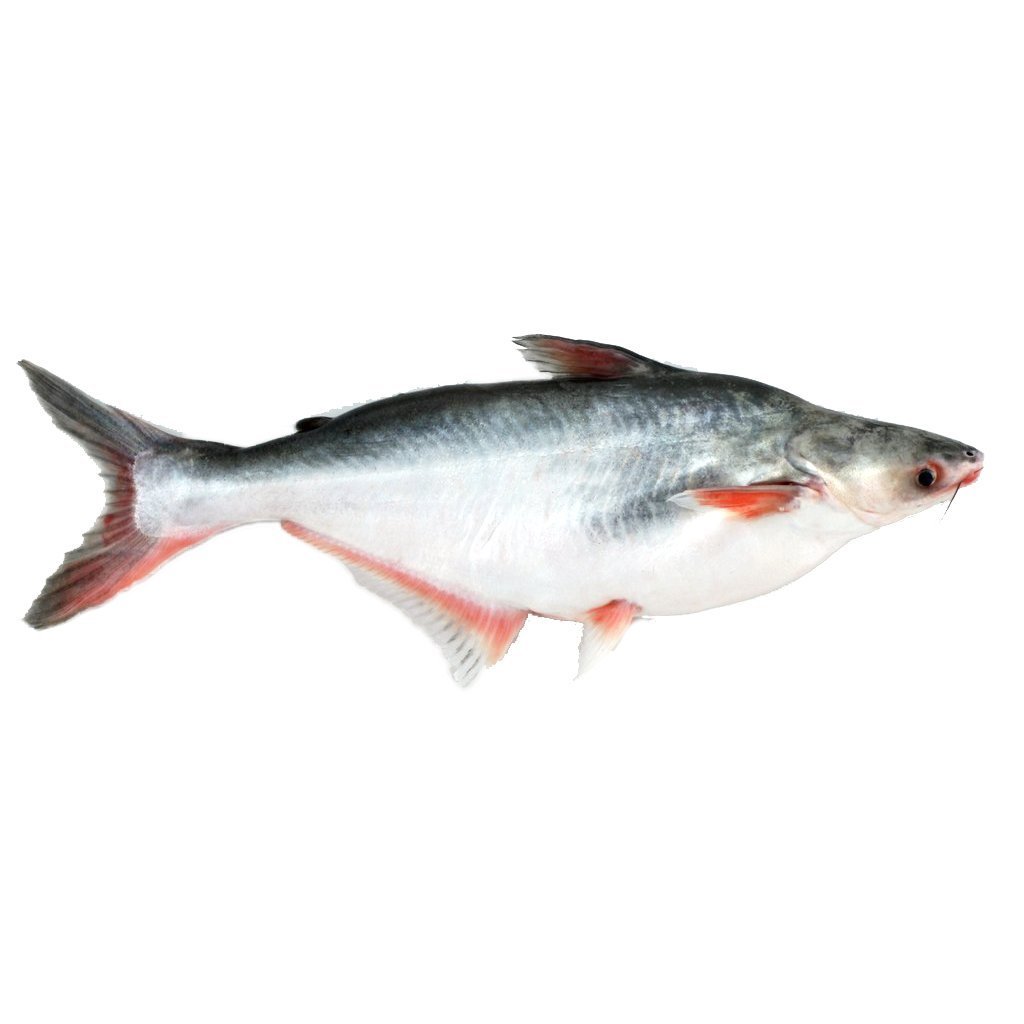 Ikan Patin / Catfish- 2kg/pkt | Shopee Malaysia
