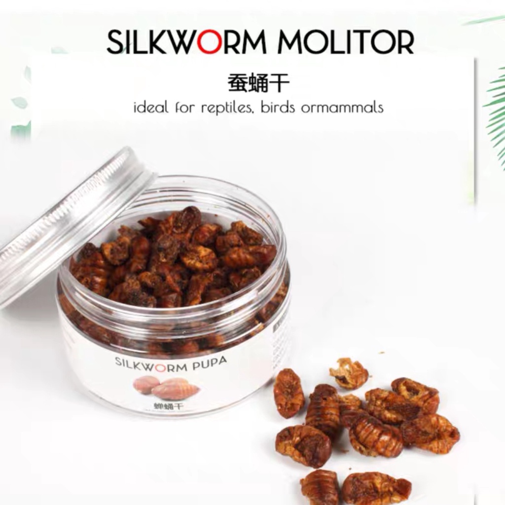 [PetlyMall] Dried Feeder Mealworm Locust Cricket Silkworm Pupa Protein ...