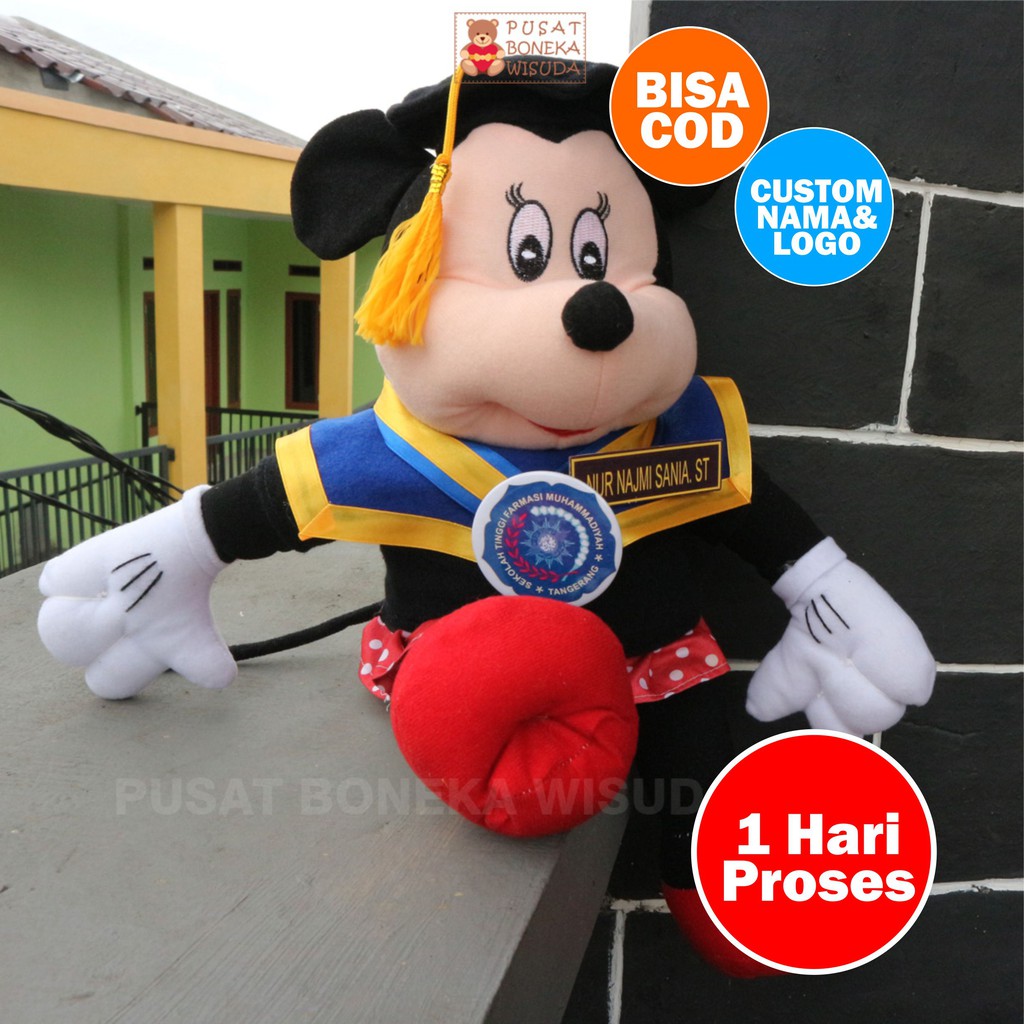 Cute Minnie mouse Graduation Doll Minie mouse Mini Mickey mouse ...