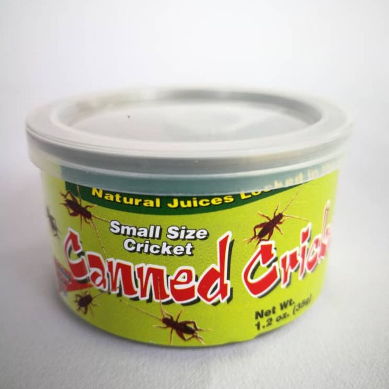 [ READY STOCK ] Cengkerik Dalam Tin / Canned Crickets 35g Makanan ...