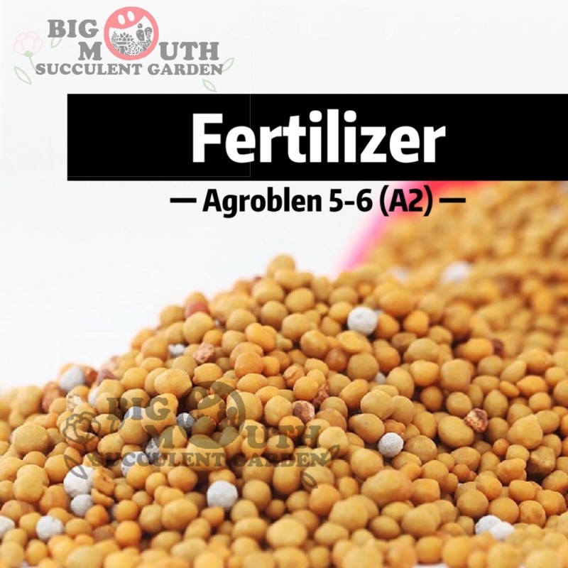 500g Osmocote Fertilizer Succulent Slow Release Fertilizer A2 Agroblen ...