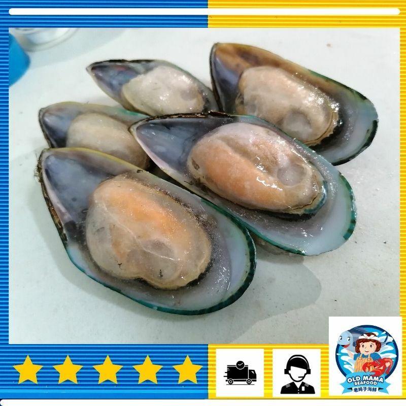 New Zealand Half Shell Green Mussel / 纽西兰半壳青蠔 (800gm/pk) Kerang Hijau ...