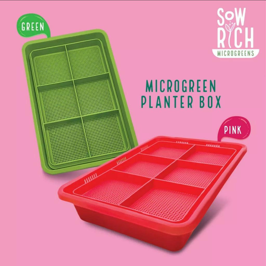 MICROGREEN PLANTER TRAY PINK OR GREEN FOC SEED (RANDOMLY) | Shopee Malaysia