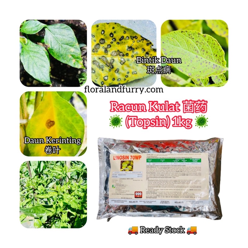 Linosin 70WP 1kg (Topsin) Thiophanate methyl 70% Fungicide 杀菌剂 Racun ...