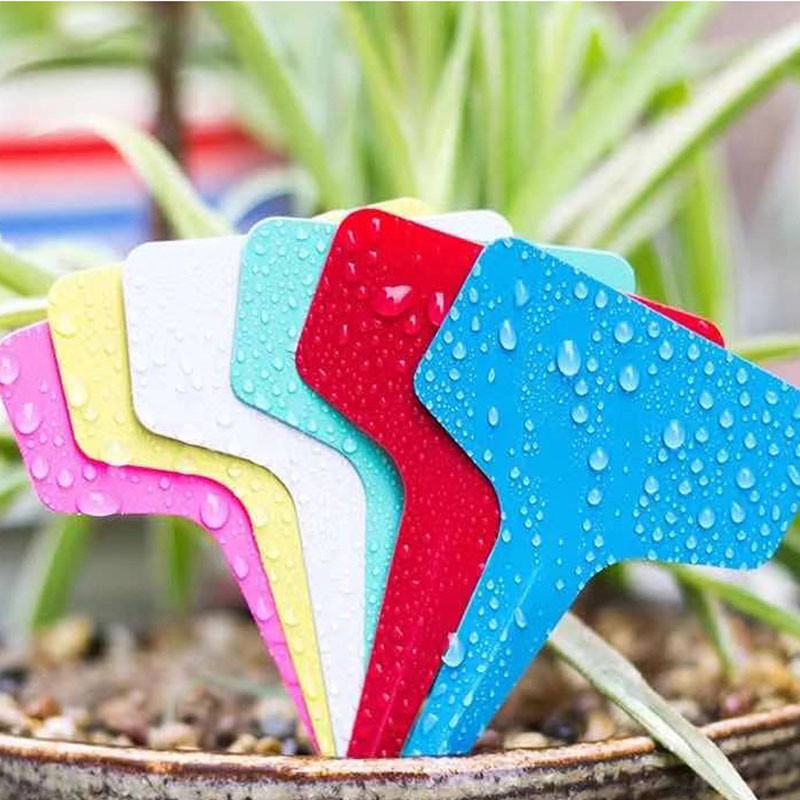 50 PCS Long T-Labels Plants Seed Pot Maker Succulents label Nursery ...