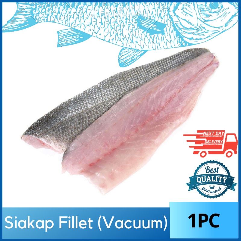 Siakap Fillet / Ikan Siakap 400G+ (Clean & Vacuum) | Shopee Malaysia