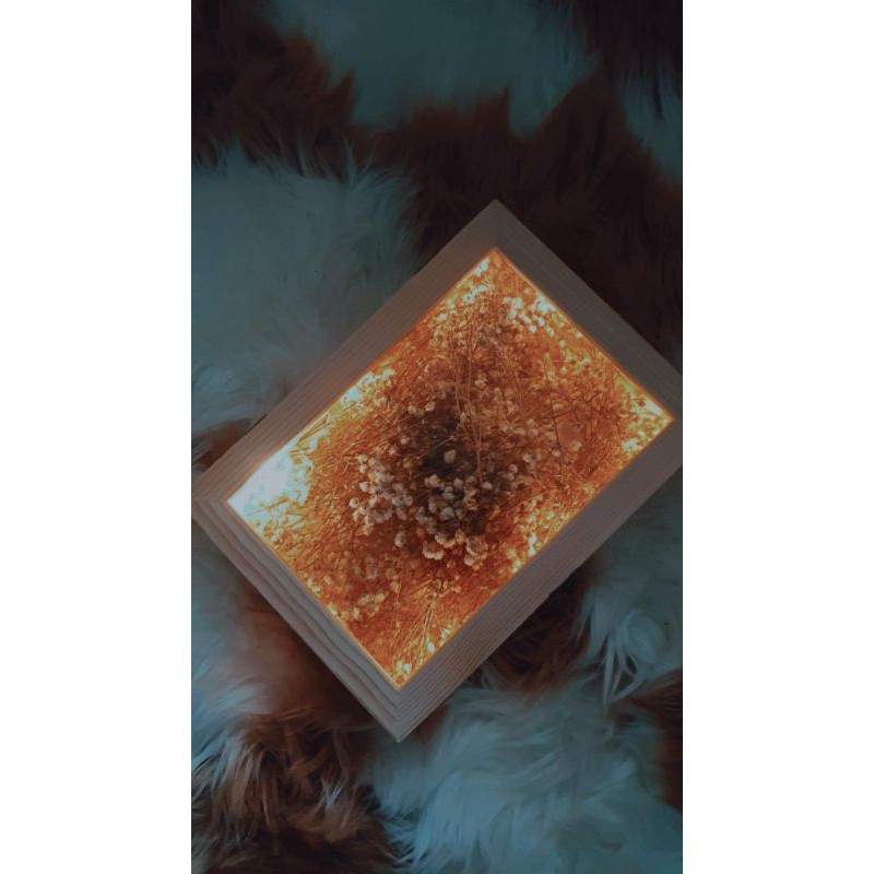 Preserved Flowers In Shadow Box With Fairy Lights Shopee Malaysia