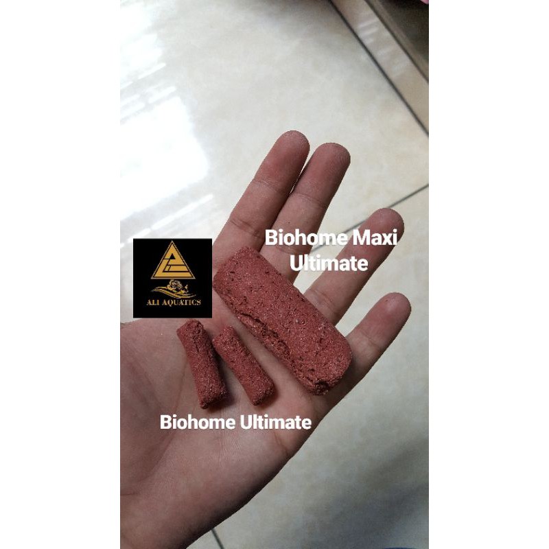 Biohome Maxi Ultimate 1KG REPACKED | Shopee Malaysia