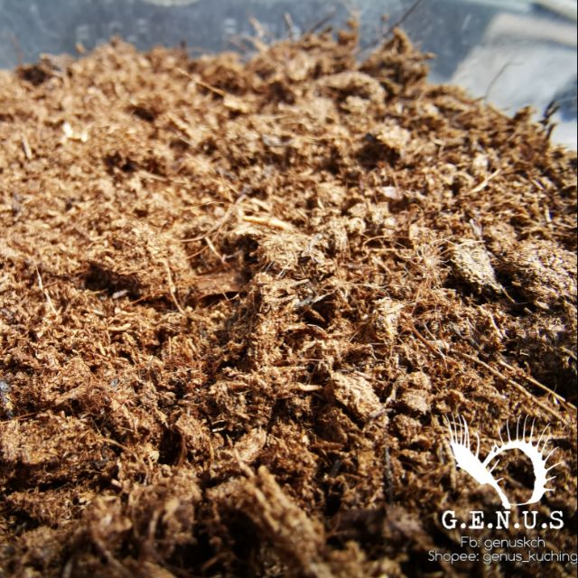 Peat moss 泥炭土/ jiffy/ klasmann/ Pindstrup (Non Fertilized) 無肥 ...
