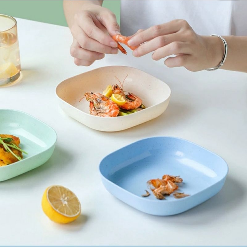 [READYSTOK] 10PCS PLATE PICNIC PARTY CAMPING COLOURFUL JAPANESE ...