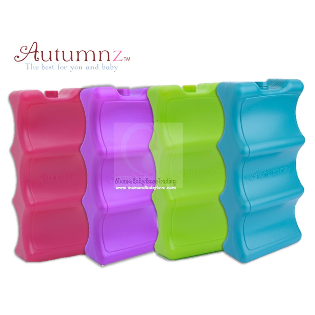Autumnz Premium Contoured Reusable Ice Pack / Block (1pc) | Pek Ais ...