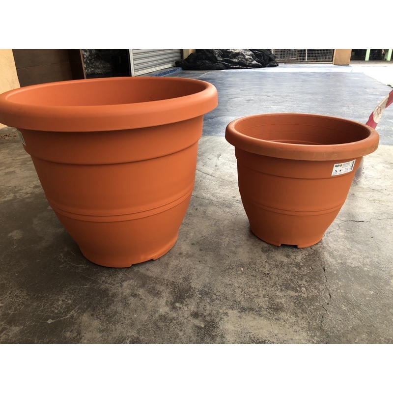 PASU BESAR BRAND BABA(EG 392-5pcs) ( EG 512) | Shopee Malaysia