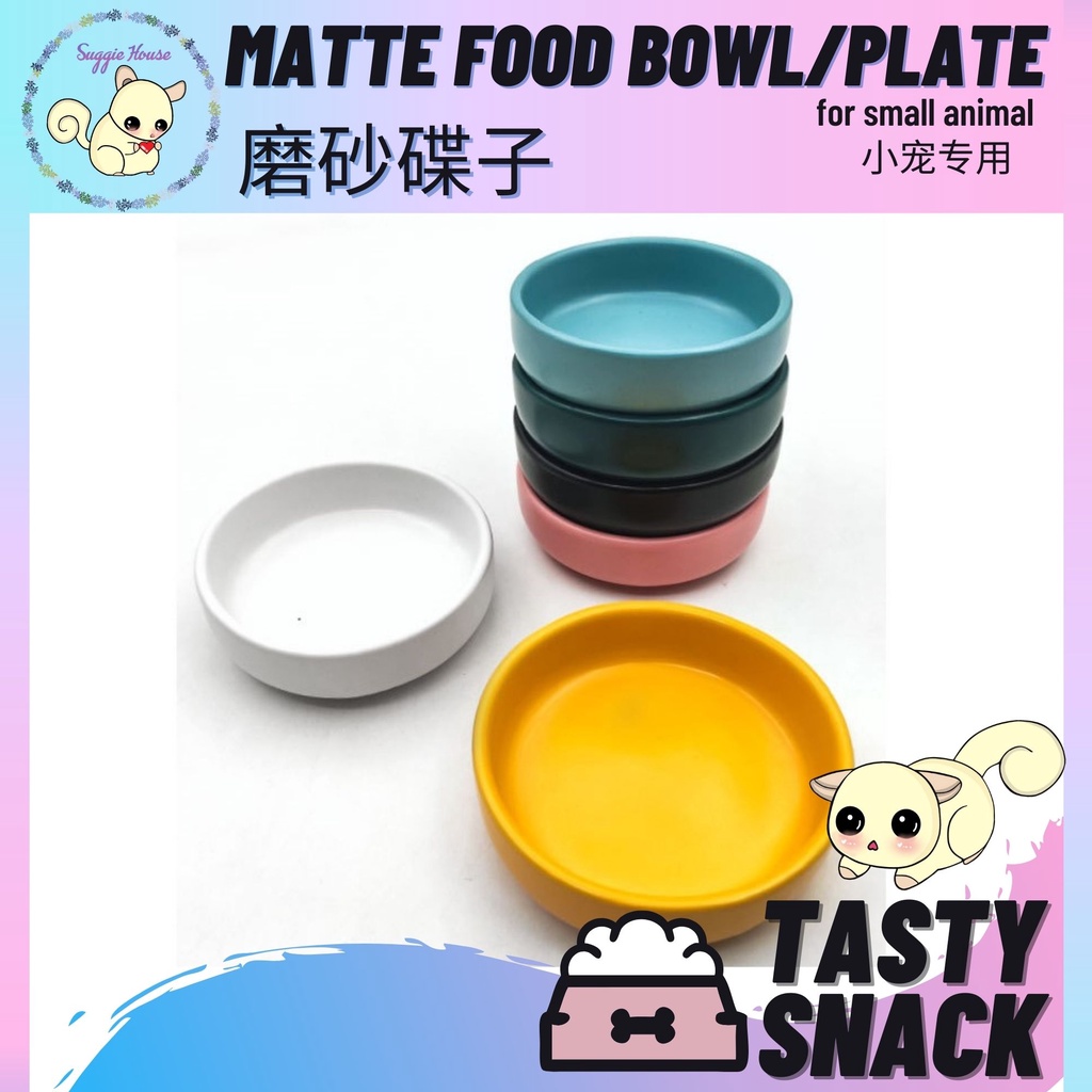 Sugar Glider food plate bowl Hamster Small Animal Pet Matte Ceramic ...