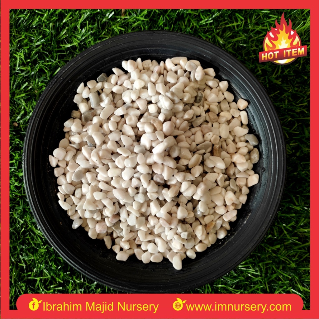 (1Kg) 5mm WHITE Pebble Wash Stone Garden Stone Landscape / Batu Sungai ...