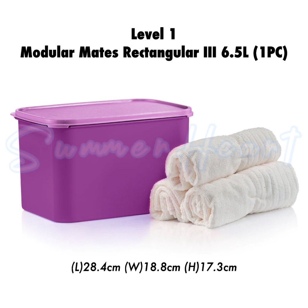 Tupperware Modular Mates Rectangular III 6.5L / Jumbo Keeper 12L ...