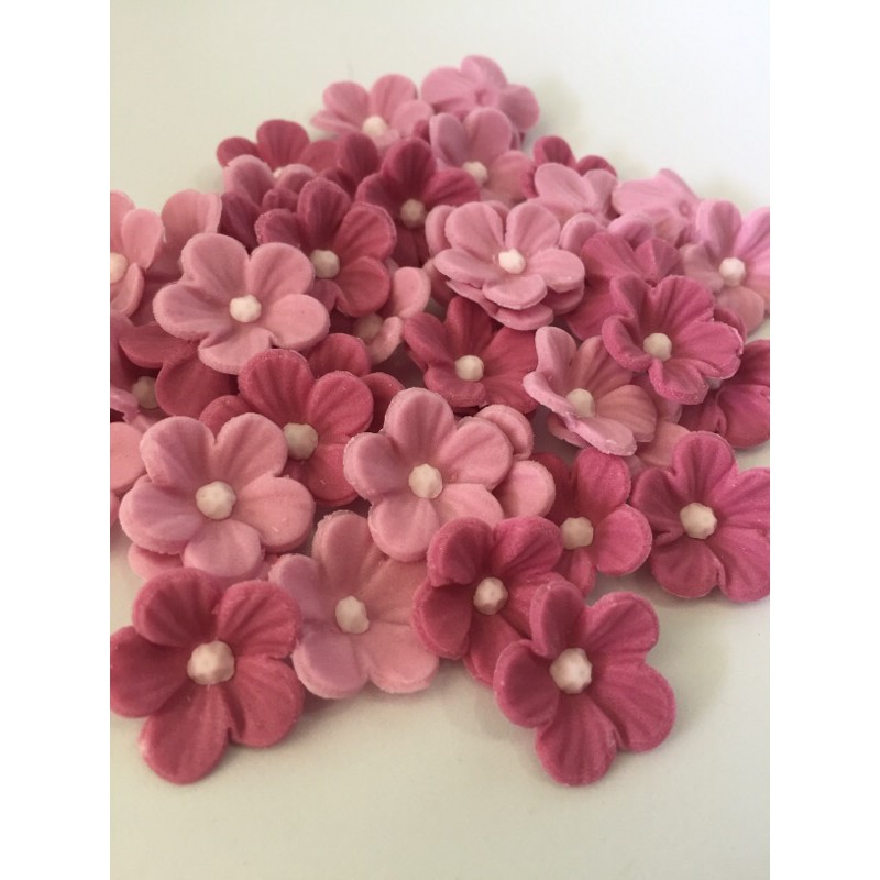 Edible gumpaste sugar flower Cherry Blossom 2 Tones / Bunga Hiasan Kek ...
