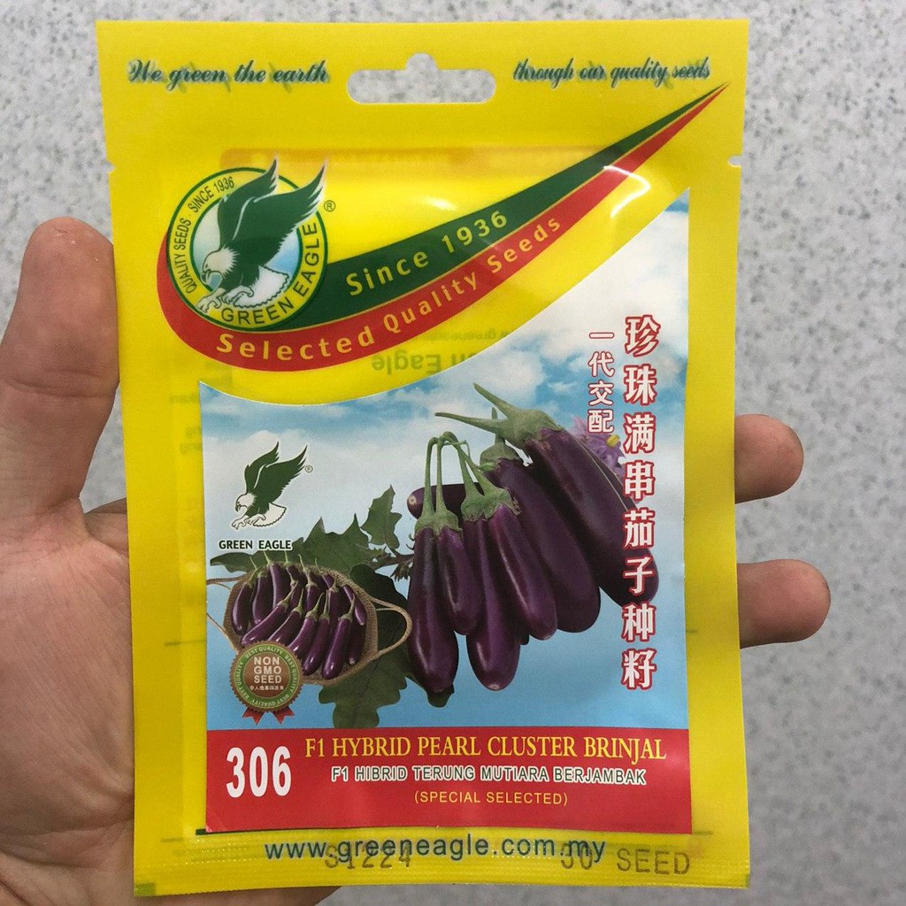 Benih Terung Mutiara Berjambak F1 Green Eagle 306 (30 biji) | Shopee ...