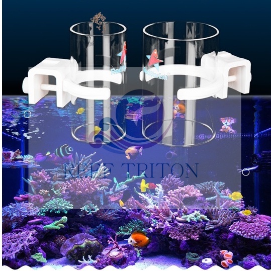 Red Starfish Aquarium fish Feeding Cup 2 size available with Clamp and ...