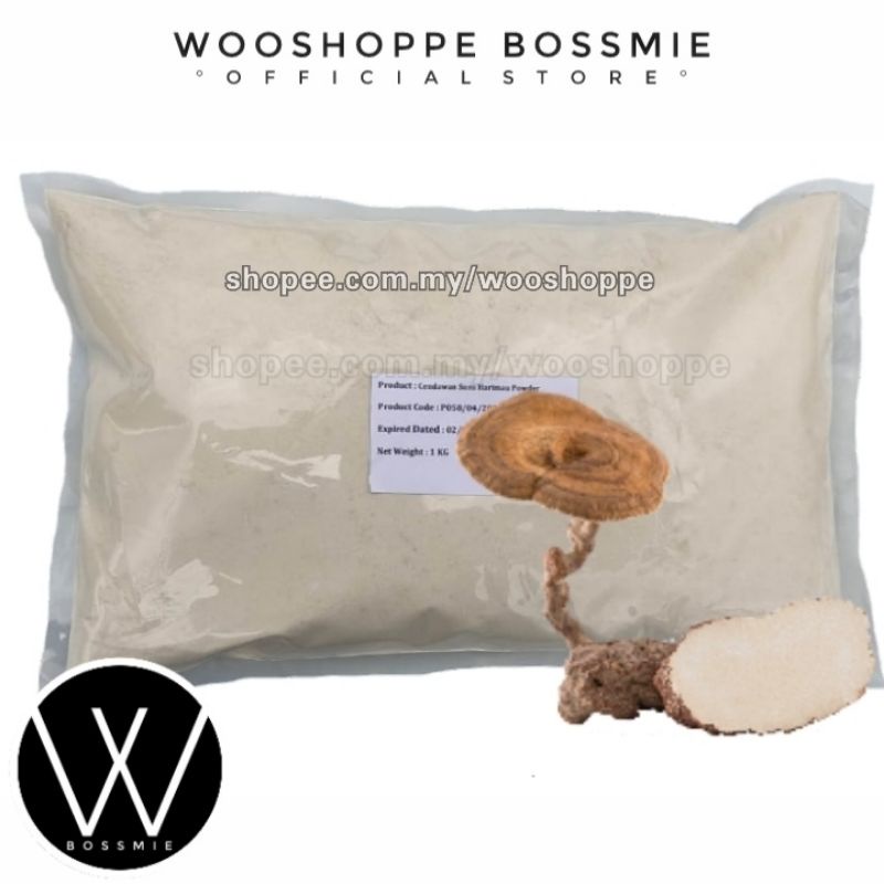 𝙒𝙊𝙊𝙎𝙃𝙊𝙋𝙋𝙀 1KG CENDAWAN SUSU HARIMAU POWDER (TIGER MILK MUSHROOM ...