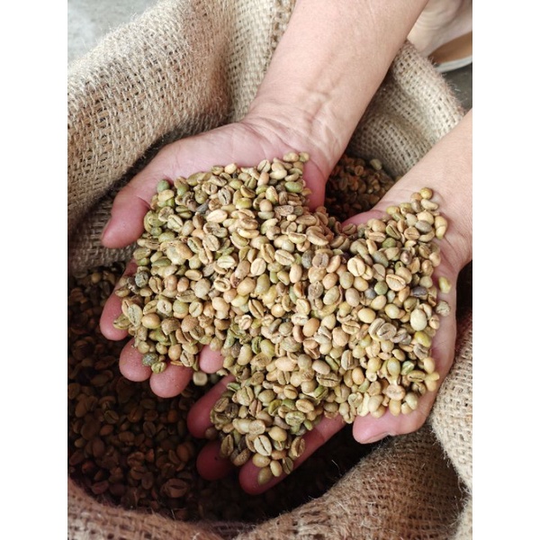Indonesia Excelsa raw coffee beans (1kg) | Shopee Malaysia