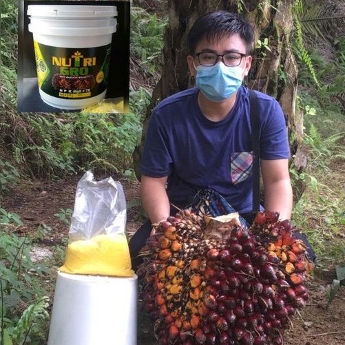BAJA NUTRIGRO 12 9 27 PAKEJ 6 TONG + FREE SHIPPING 3 SUDU/POKOK (SEM ...