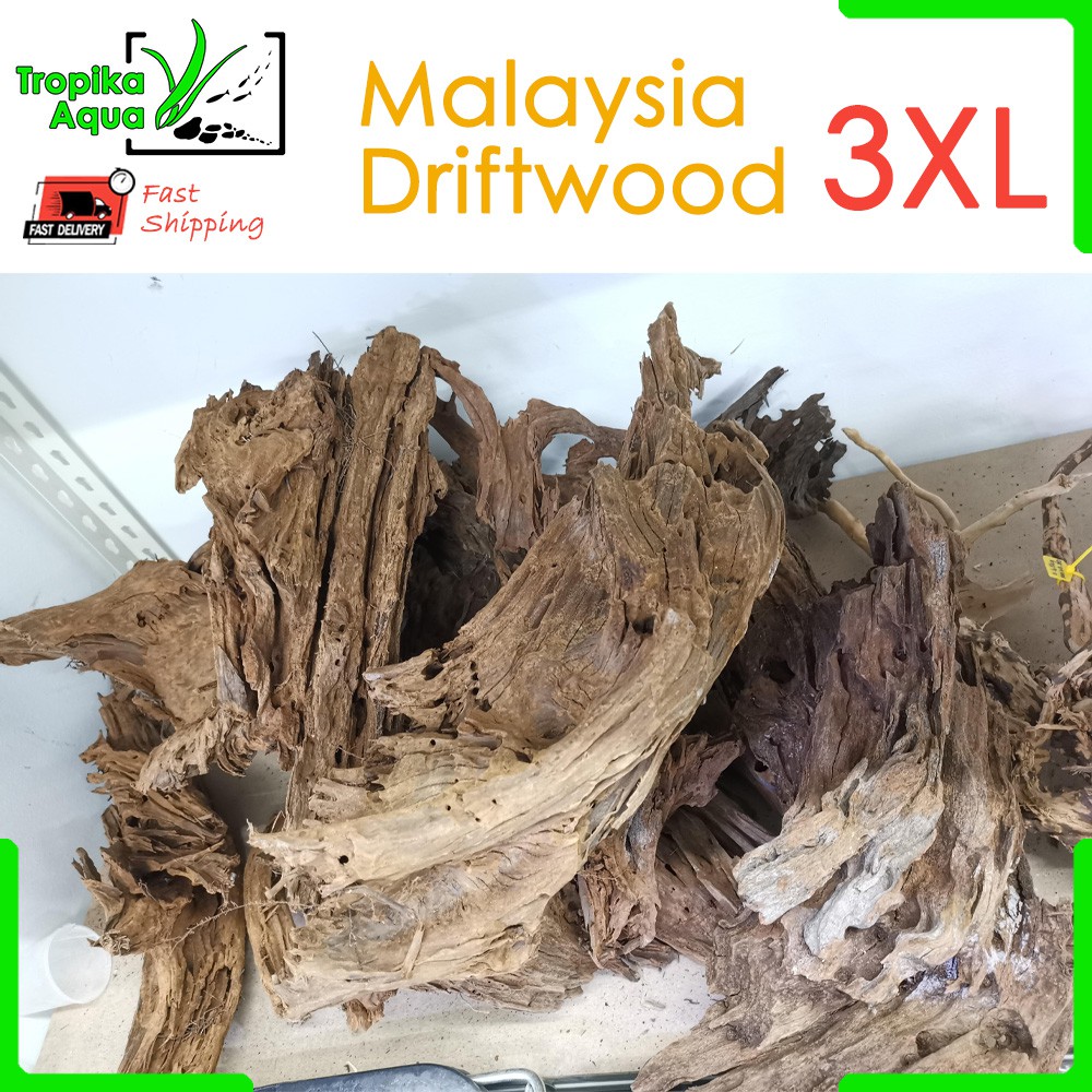 Driftwood (3XL 50-65cm) Malaysia for Aquarium Fish Tank Aquascape ...