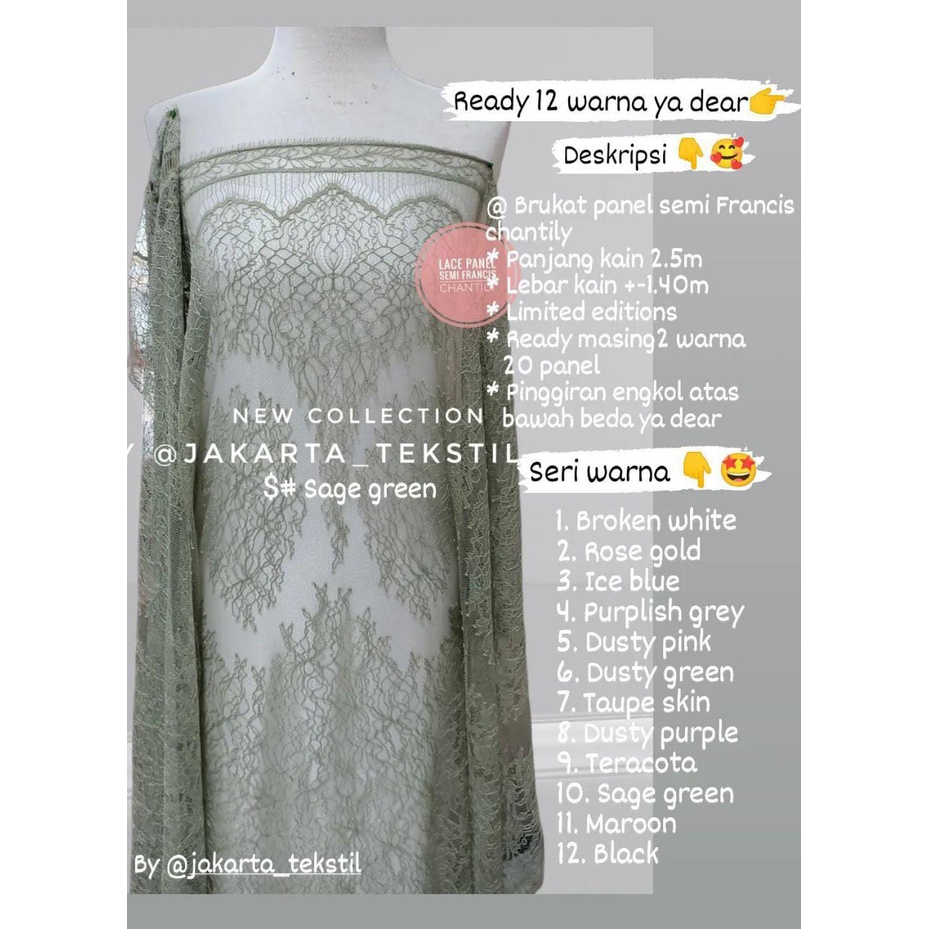 [ 540 ] BROKEN / BROKEN / LACE PANEL SEMI FRANCIS CHANTILLY NEW ...