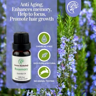 rosemary essential oil - Prices and Promotions - Aug 2024 | Shopee Malaysia