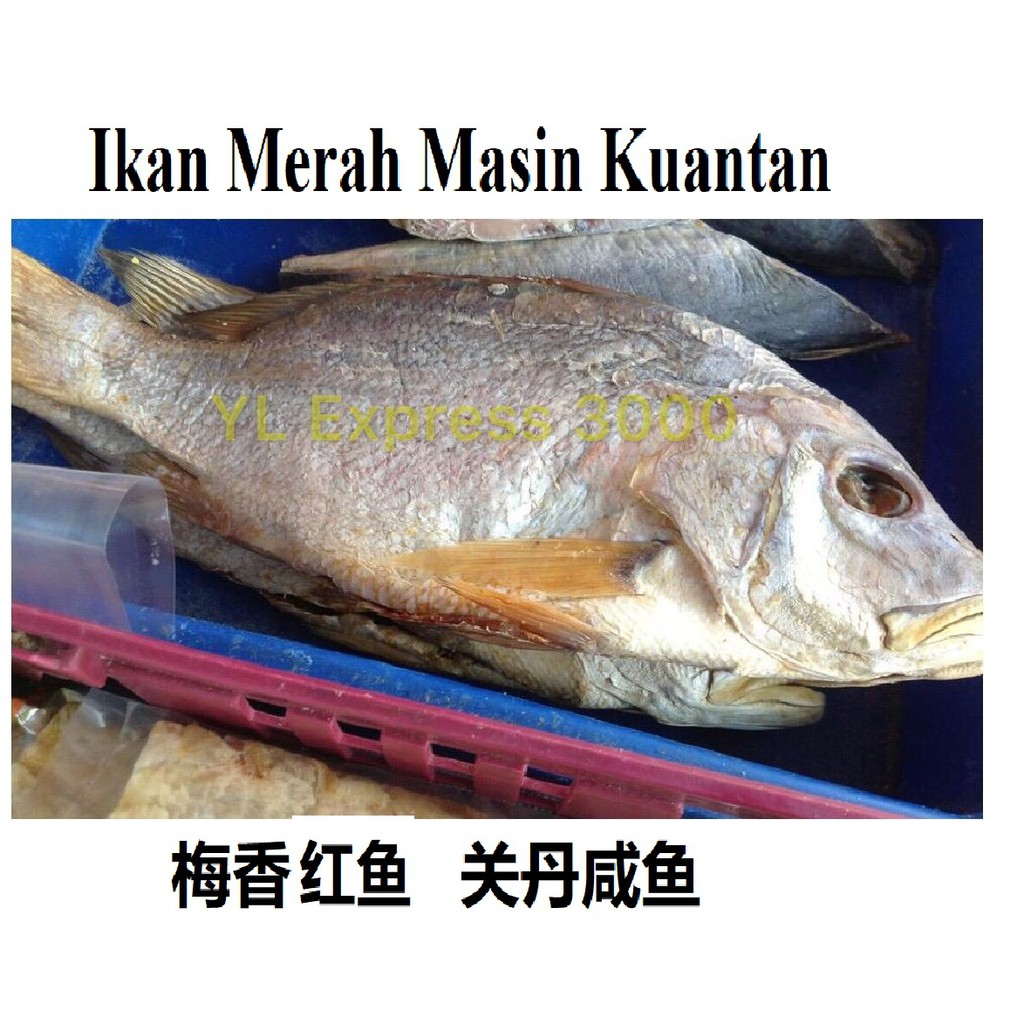 [1kg-1.2kg++] Ikan Merah Masin Kuantan / Salted Fish / Mui Hiong / Ikan ...
