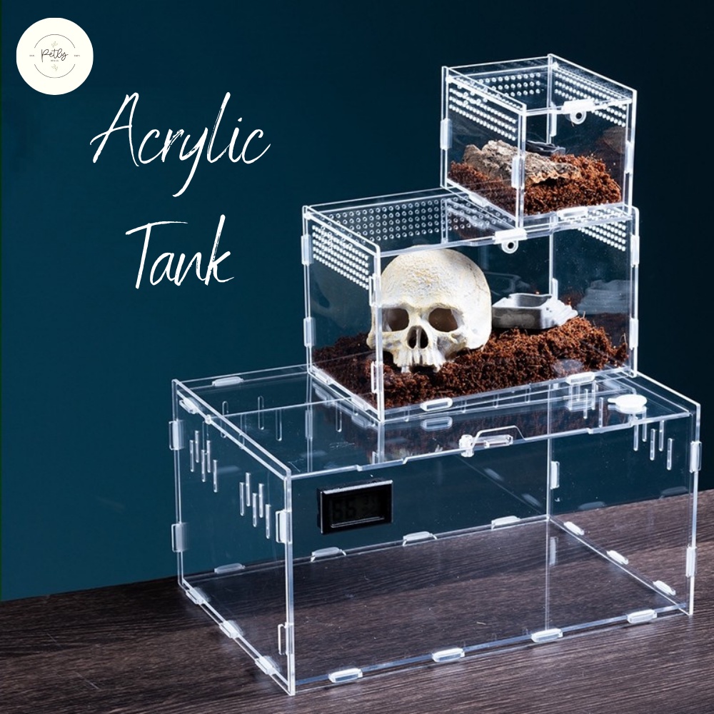 [PetlyMall] Reptile Acrylic Tank Box Breeding Habitat Tarantula Snake ...