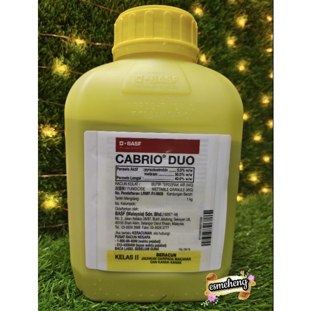 1Kg BASF Cabrio Duo/ Mengawal dan Merawat Penyakit / Antraknos / Bintik ...