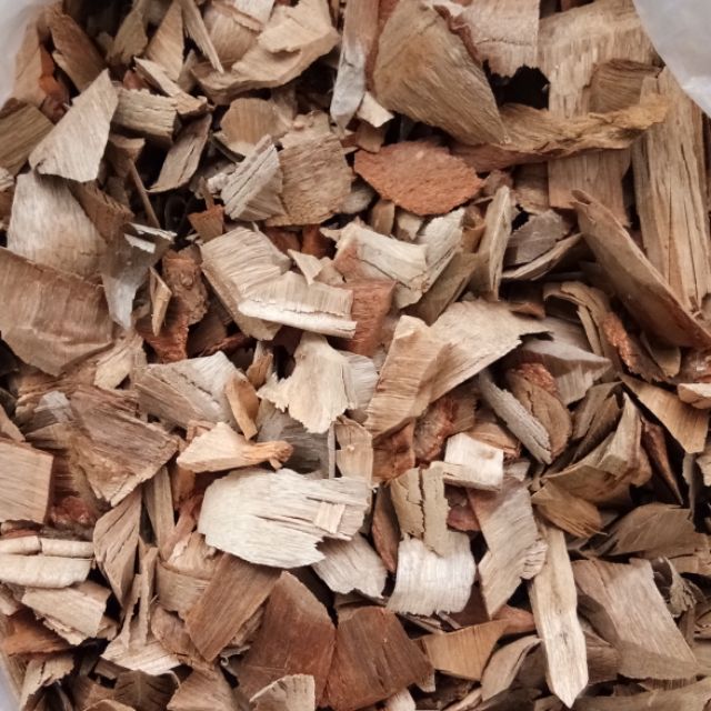 Kayu Sarsi 🔥Akar Kayu Medang Sarsi🔥 | Shopee Malaysia