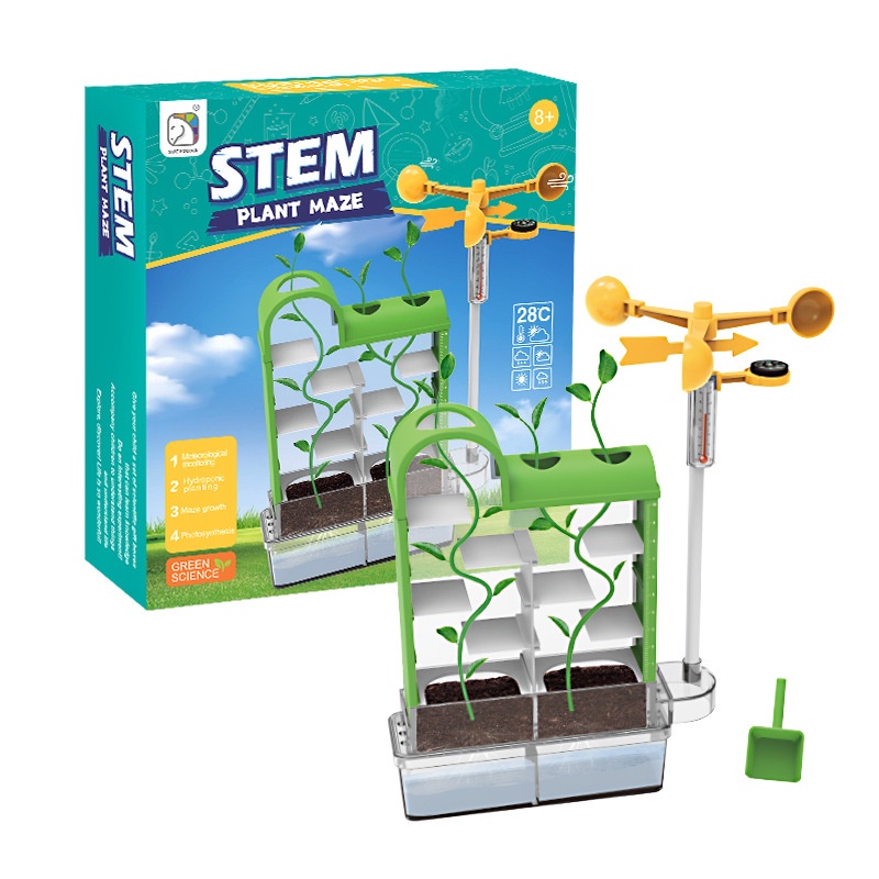 DIY Science Kit Planting Plant Maze Biology Experiment STEM STEAM ...
