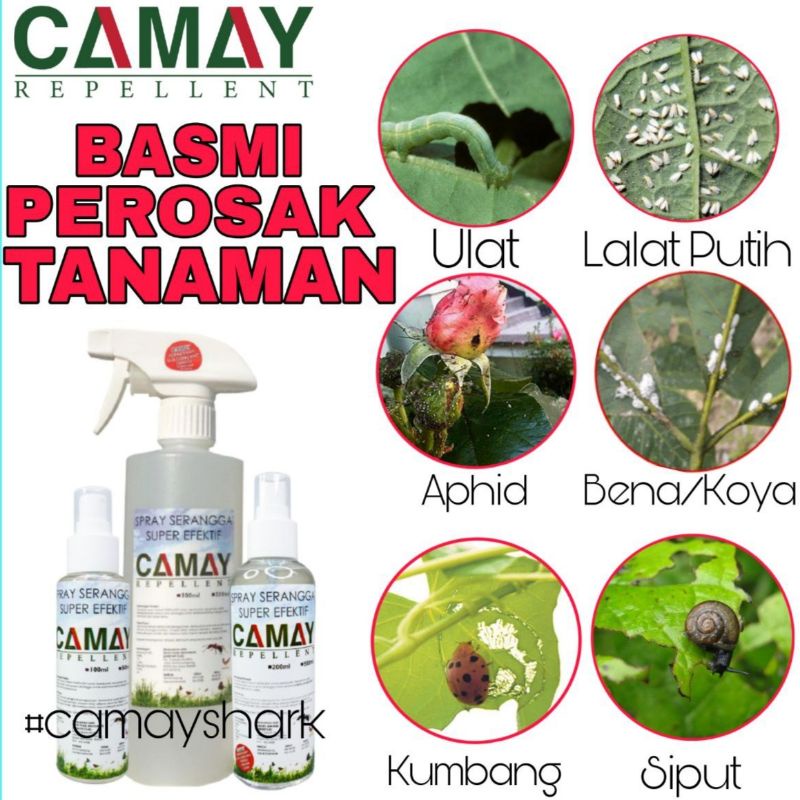 SPRAY SERANGGA PEROSAK TANAMAN POKOK ULAT, KUMBANG, SIPUT BABI, MEALY ...