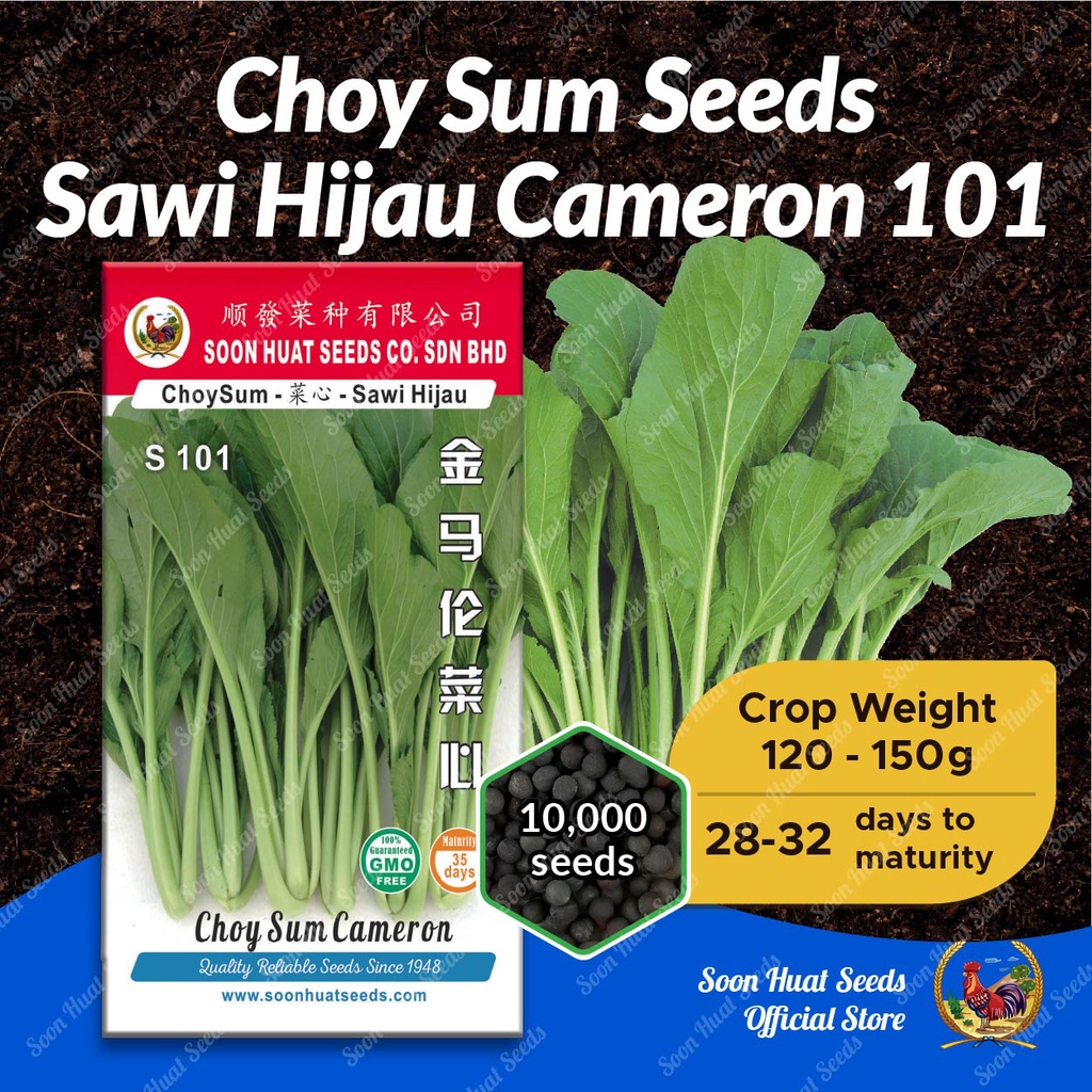 [30g] 101 Benih Sayur Sawi Bunga Choy Sum Cameron Soon Huat Seeds ...