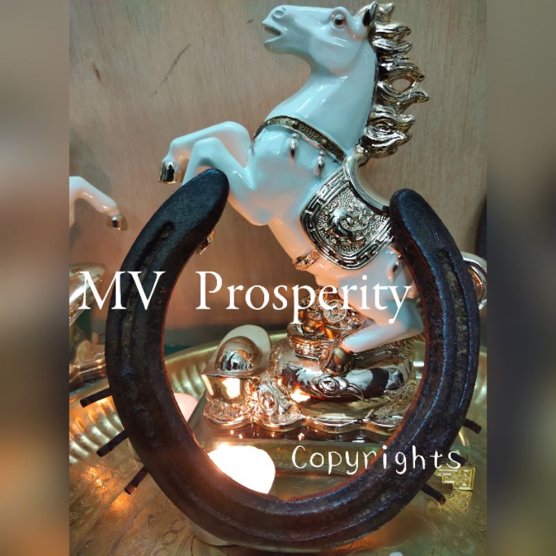 100% ORIGINAL Used Horseshoe/6 Nailed Lucky Laadam/Ladam Kuda/FengShui ...