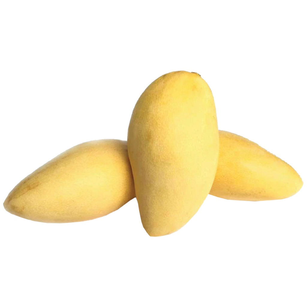 THE FRUITS KING - FRESH THAI MANGO/ THAILAND CHOKANAN MANGO/ MANGO SUSU ...