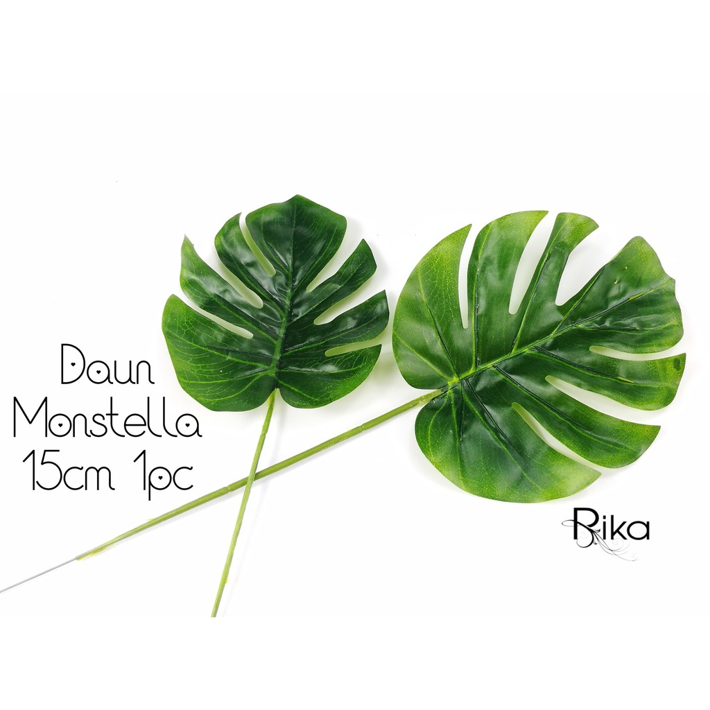 Daun bulat Monstella Leaf 12 dan 15cm 1pc | Shopee Malaysia