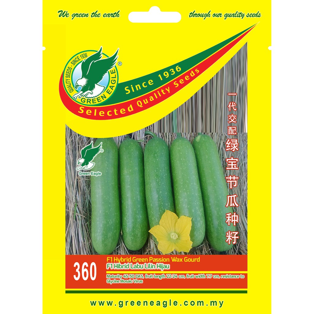 360 F1 HYBRID GREEN PASSION WAX GOURD F1 LABU LILIN HIJAU 綠宝節瓜种籽 (3 g ...