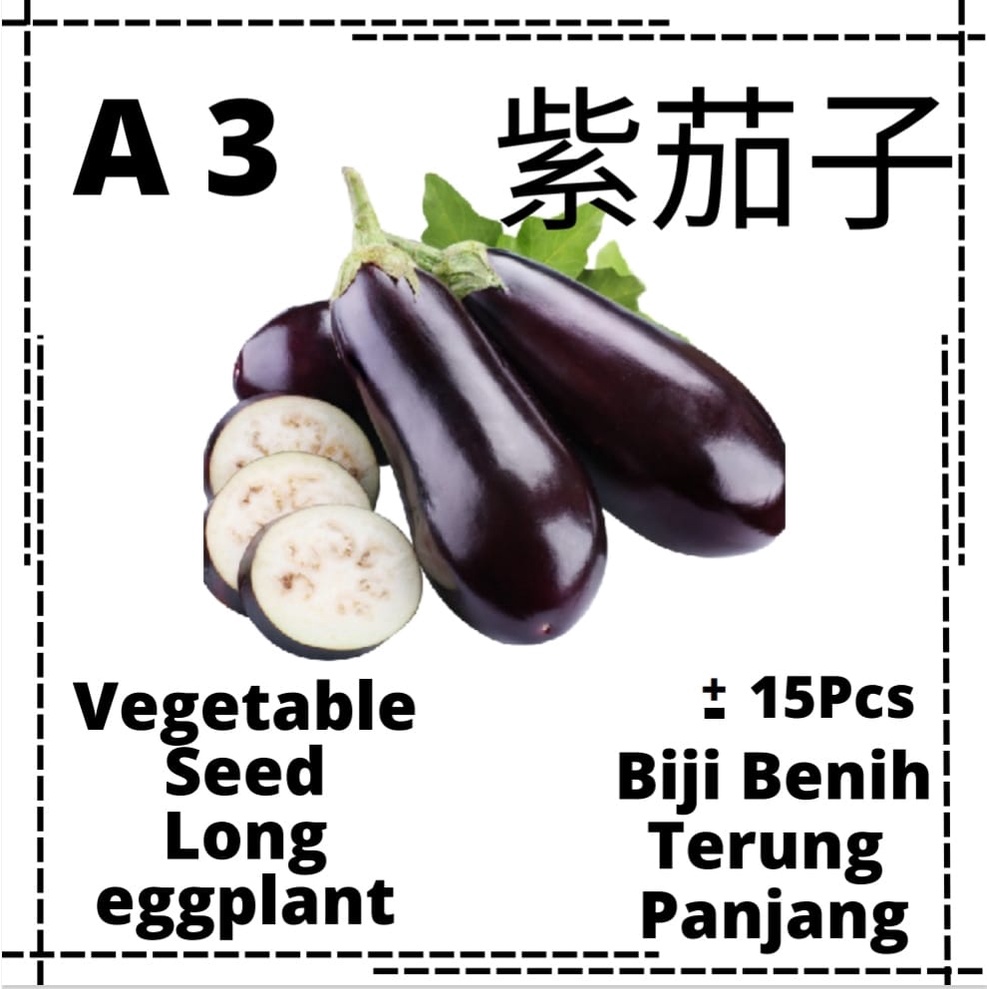 Kailan Kangkung Sawi Japanese Salad Biji Benih Vege Sayur sayuran ...