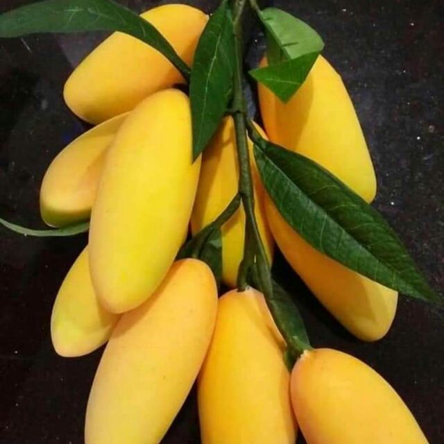 Fake Fruit Artificial Plastic Mangoes Tie Up 10pcs | Shopee Malaysia