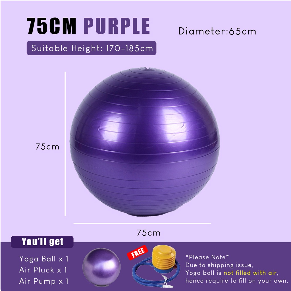 XBLAVK Yoga Ball Pilate Ball Exercise Ball 25cm 55cm 65cm 75cm Balance ...